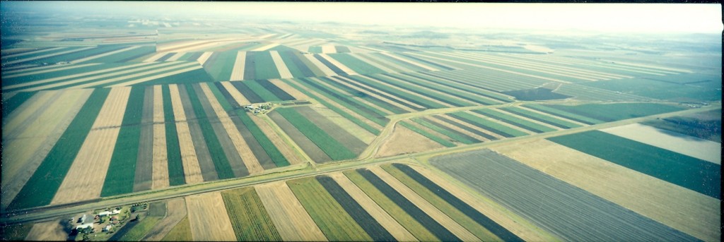 Intercropping – IPM Guidelines For Grains